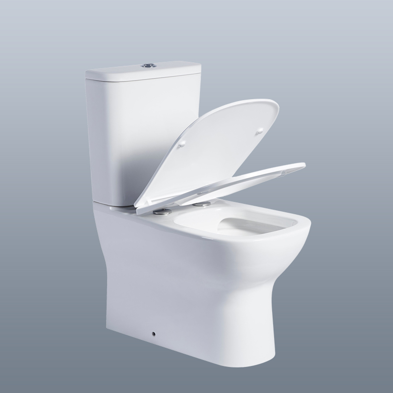 Inodoro Compacto con Cisterna Adosada | Sanitario de Diseño Reducido ...