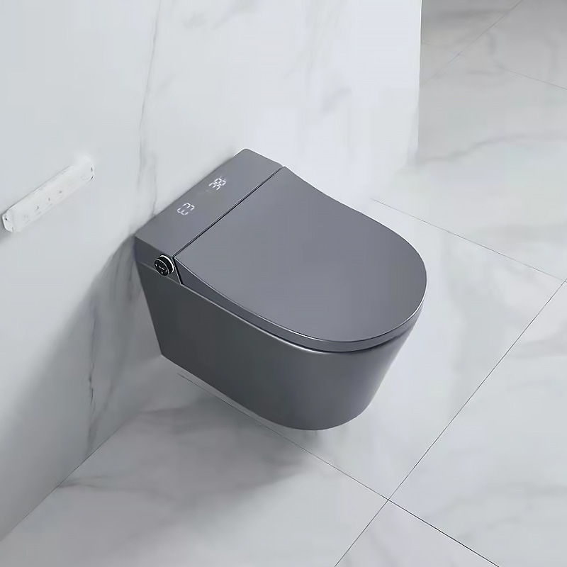 Inodoro de Pared Gris | Inodoro Gris Oscuro - Jabra Sanitary