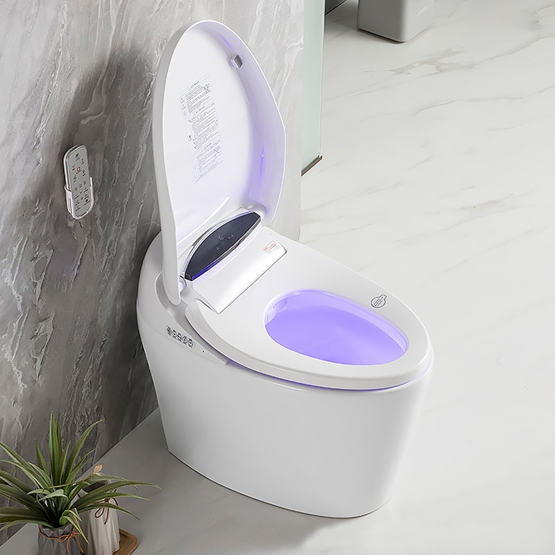 Inodoro Inteligente con Bidé Integrado - Jabra Sanitary