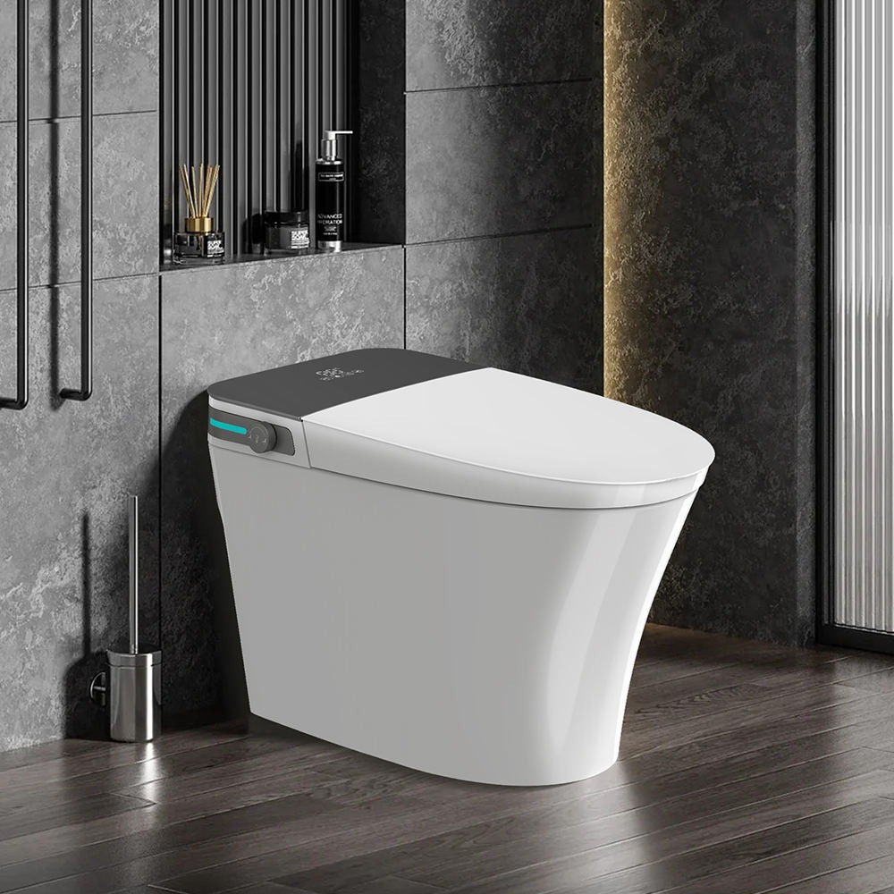 Lo que necesita saber sobre los inodoros sin tanque