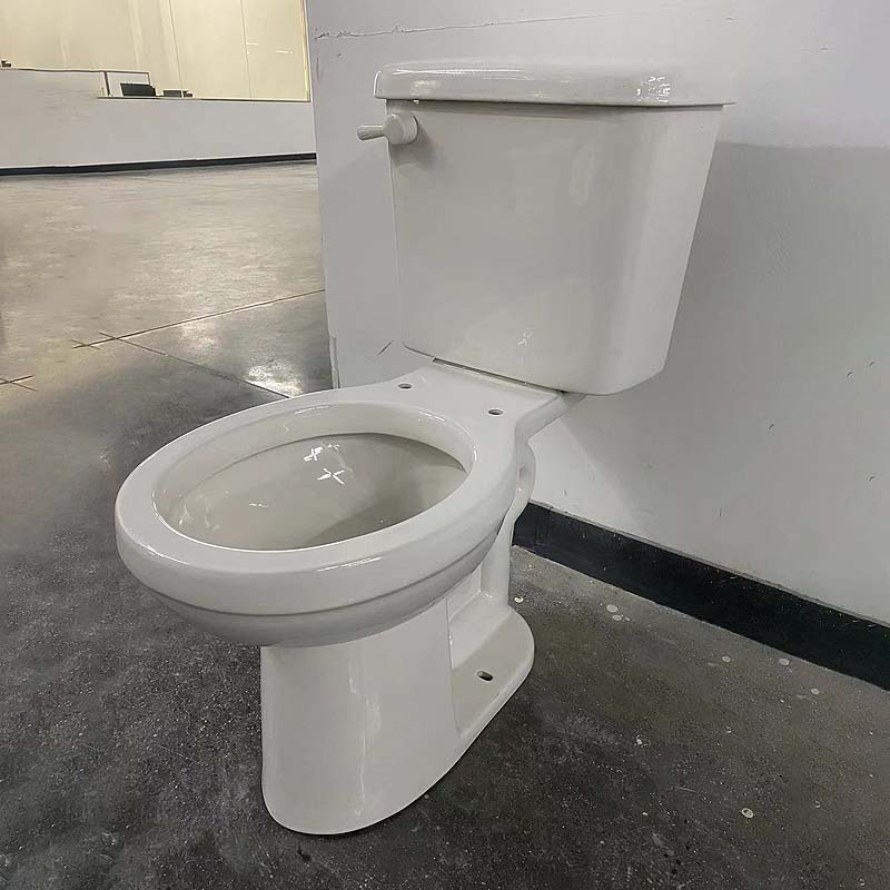 Jabra Ultra High Efficiency 0.8 GPF Single Flush Toilet 2202