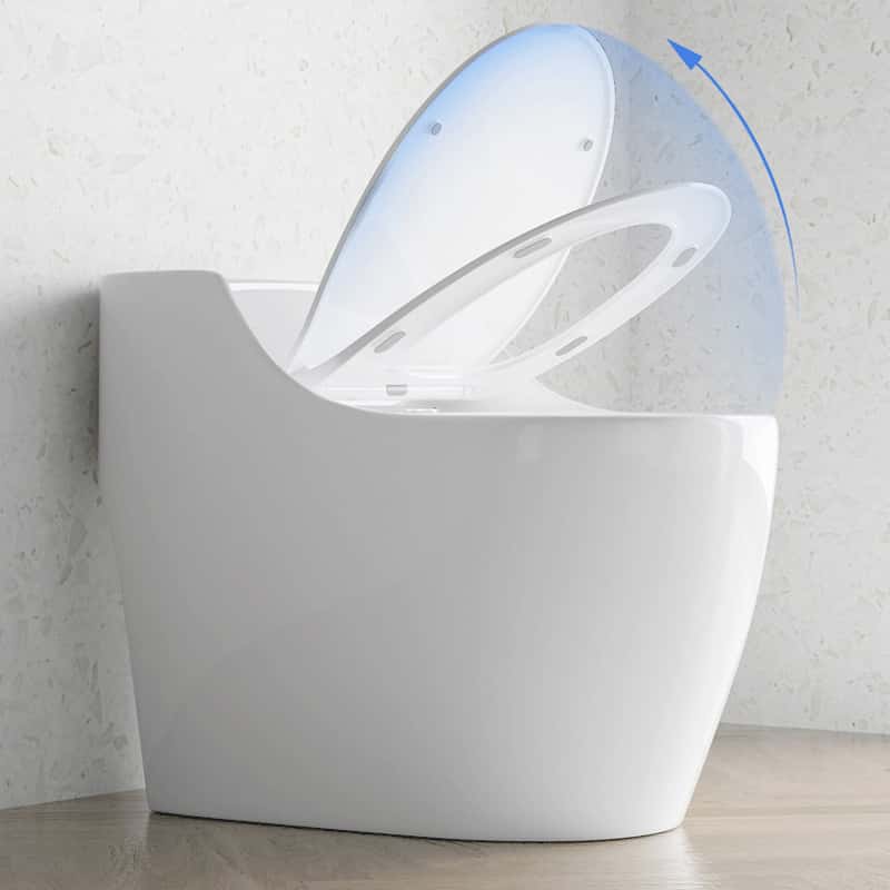 Floor Mounted | Ceramic Toilet - Jabra Sanitary