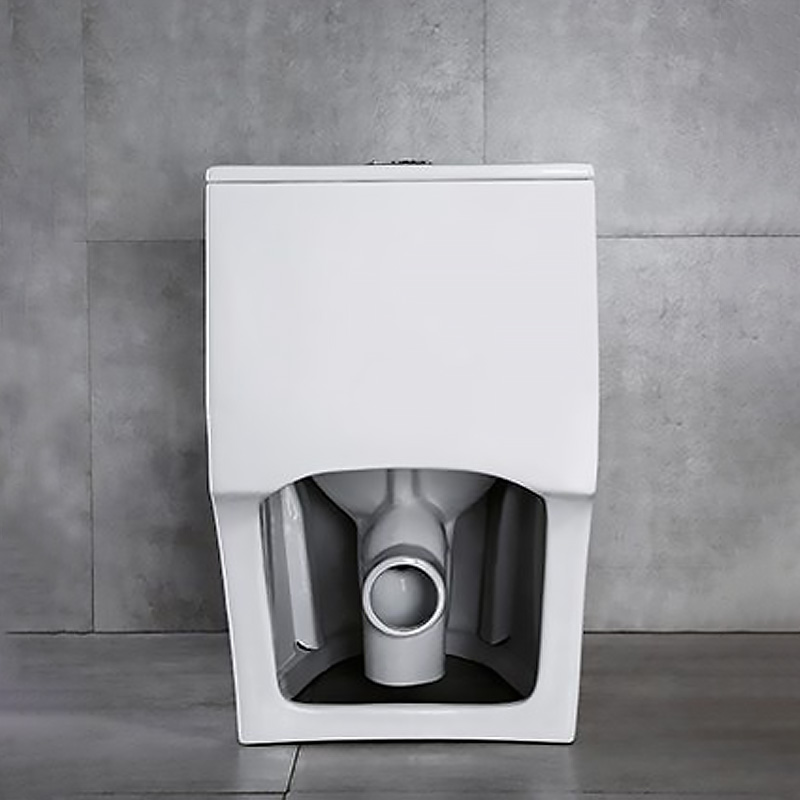 Backflow Toilet | Floor Mount Rear Outlet Toilet - Jabra Sanitary