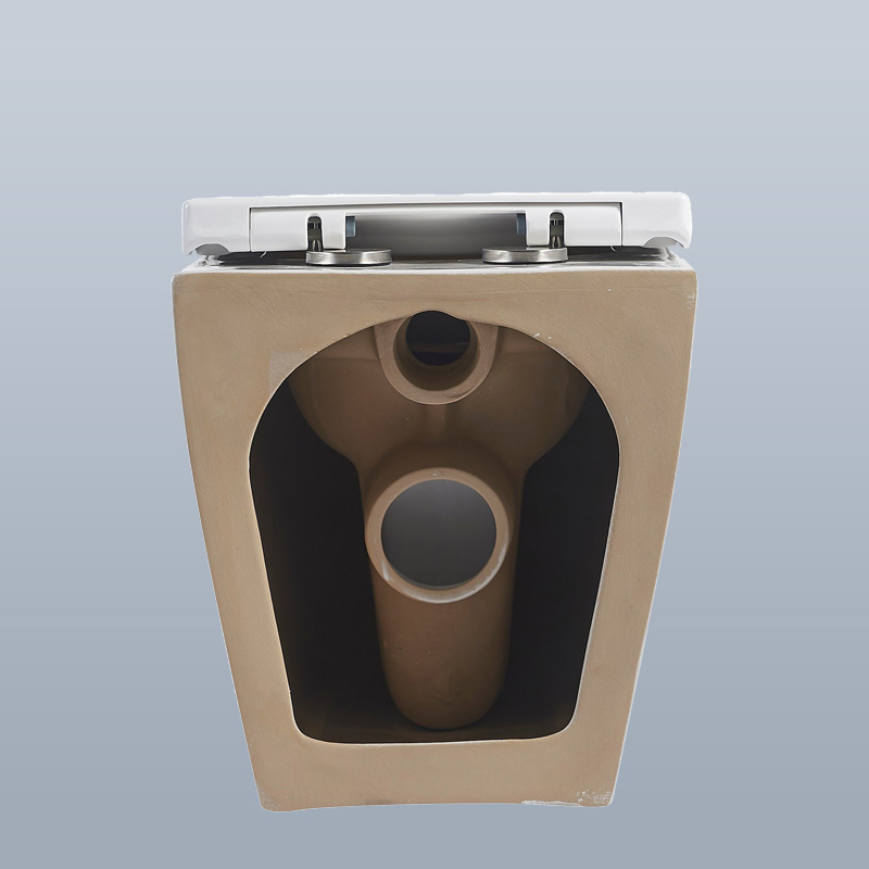 Back to Wall Toilet with Concealed Cistern - Jabra Sanitary