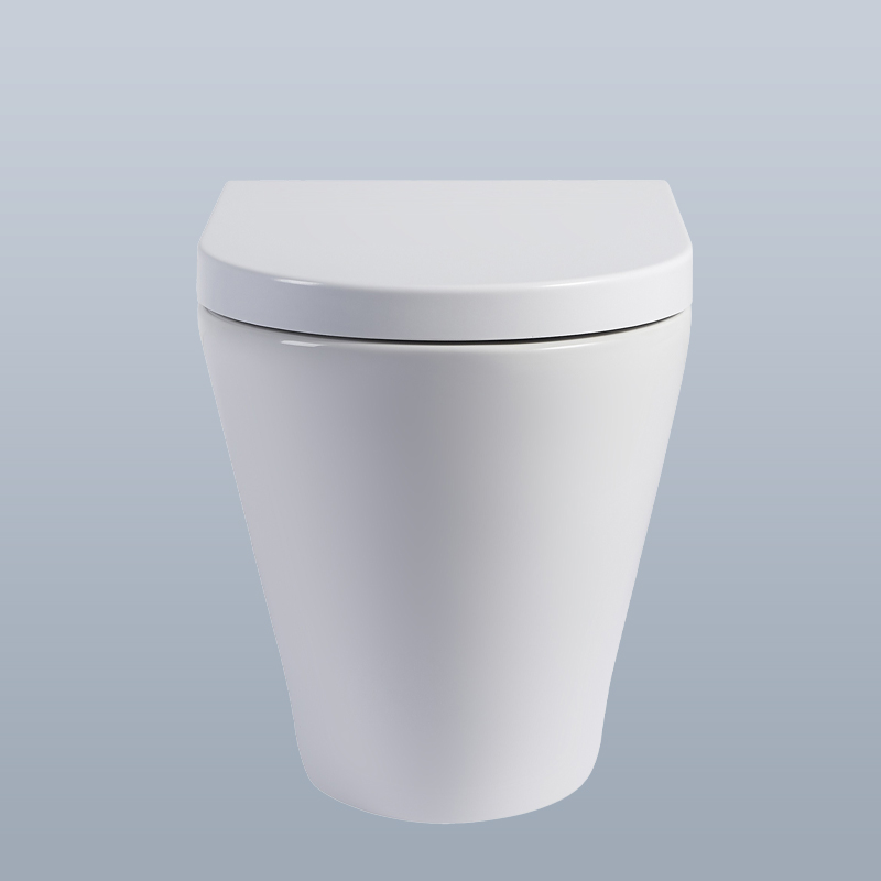 Back to Wall Toilet with Concealed Cistern - Jabra Sanitary