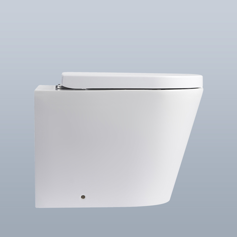 Back to Wall Toilet with Concealed Cistern - Jabra Sanitary