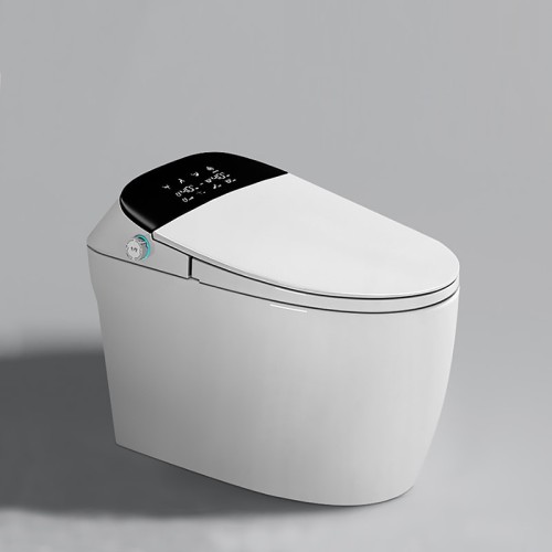 Wall Hung Toilet | Rimless Toilet Seat - Jabra Sanitary