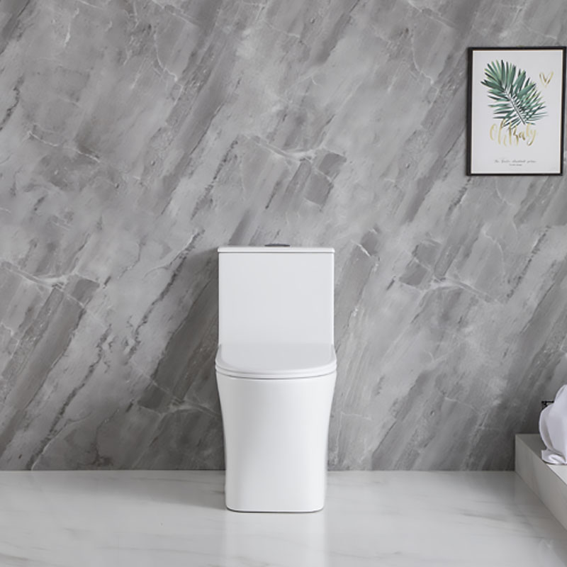 Concealed Trapway Toilet | Toilets With 3 Inch Trapway - Jabra Sanitary