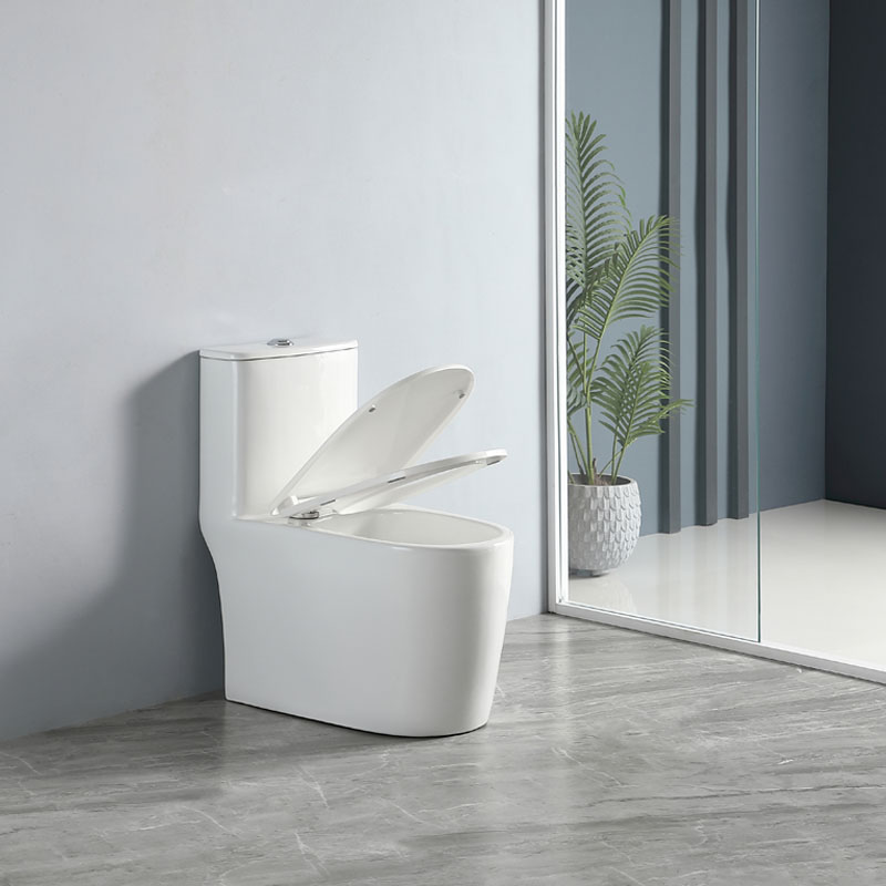 10 Inch Rough in Toilet Dual Flush - Jabra Sanitary