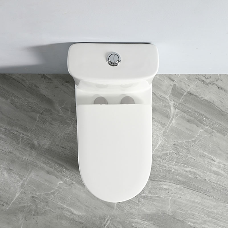 10 Inch Rough in Toilet Dual Flush - Jabra Sanitary