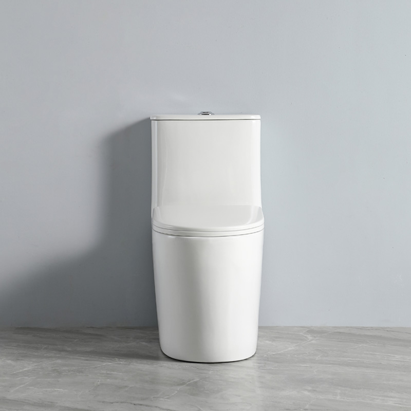 10 Inch Rough in Toilet Dual Flush - Jabra Sanitary