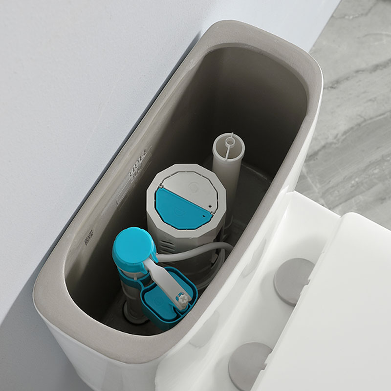 10 Inch Rough in Toilet Dual Flush - Jabra Sanitary