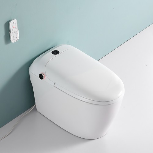 Smart Luxury Bidet Toilet Factory - Jabra Sanitary