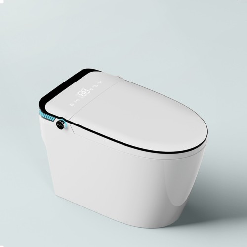 Space Saving Toilet | Waterproof Toilet - Jabra Sanitary