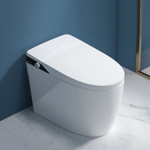 Comfort Height Rimless Back to Wall Toilet - Jabra Sanitary