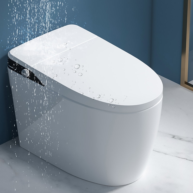 Turbo Flush Digital Toilet - Jabra Sanitary
