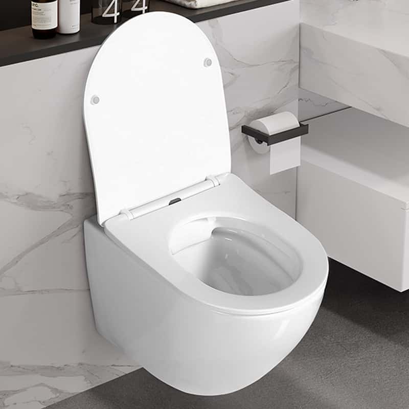 Wall Hung Toilet | Rimless Toilet Seat - Jabra Sanitary