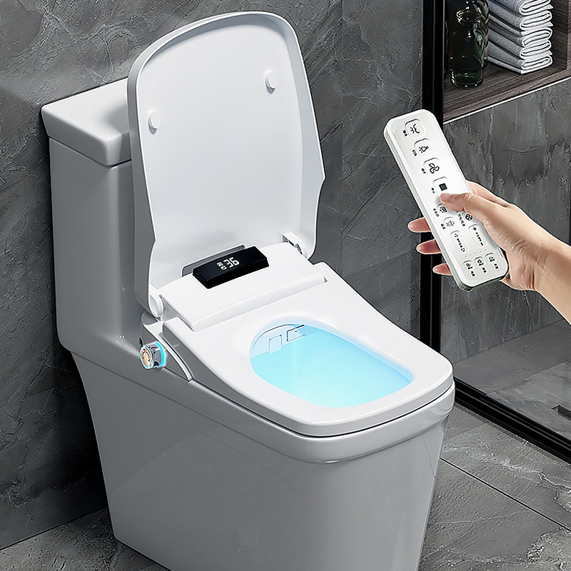 Remote Control Heated Bidet Toilet Seat - Jabra Sanitary