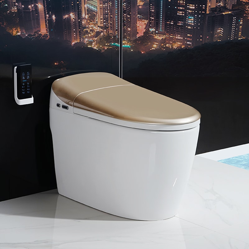 Toilet Bowl Bidet Combo | Syphon Jet Toilet - Jabra Sanitary