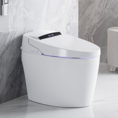 Traditional Toilet Tankless Tankless Toilet Innovative Revolution