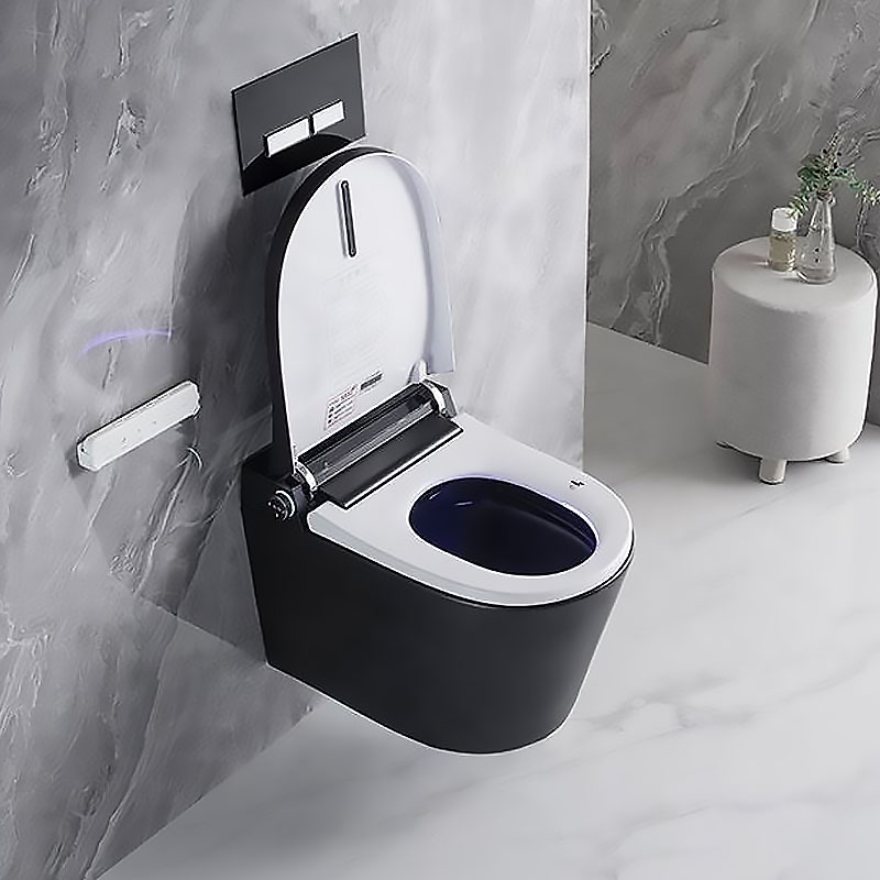 Black Bidet Toilet | Black Smart Toilet - Jabra Sanitary