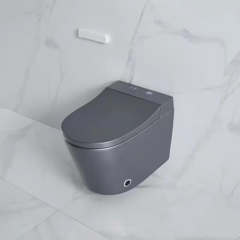 Grey Wall Hung Toilet | Dark Grey Toilet - Jabra Sanitary