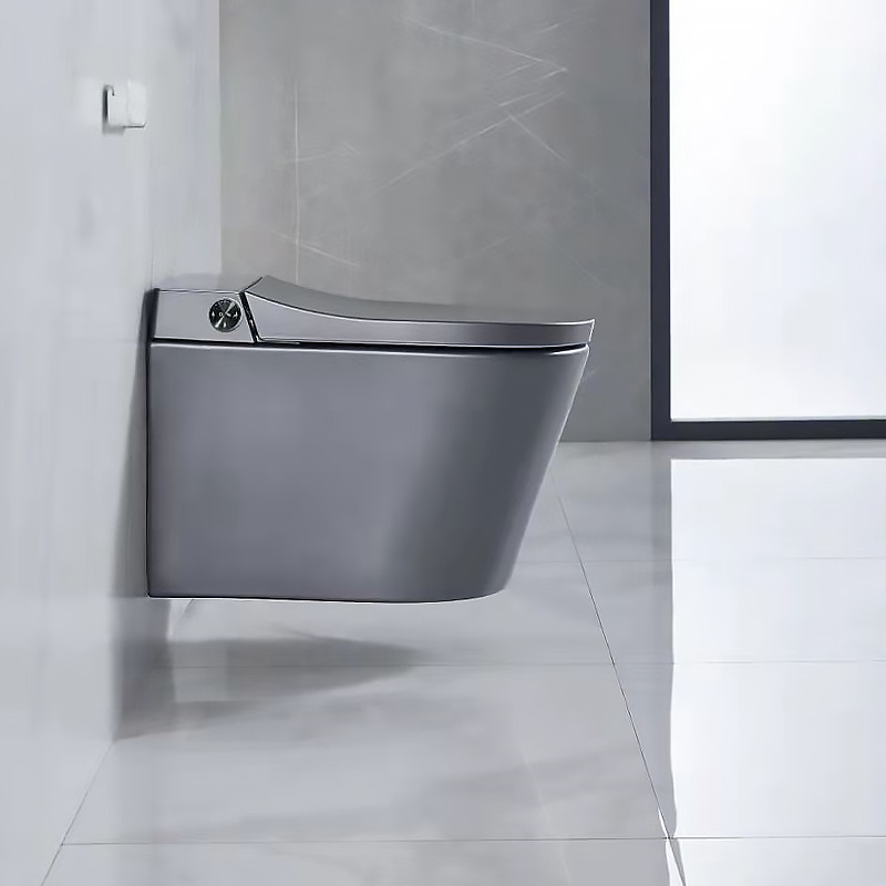 Grey Wall Hung Toilet | Dark Grey Toilet - Jabra Sanitary
