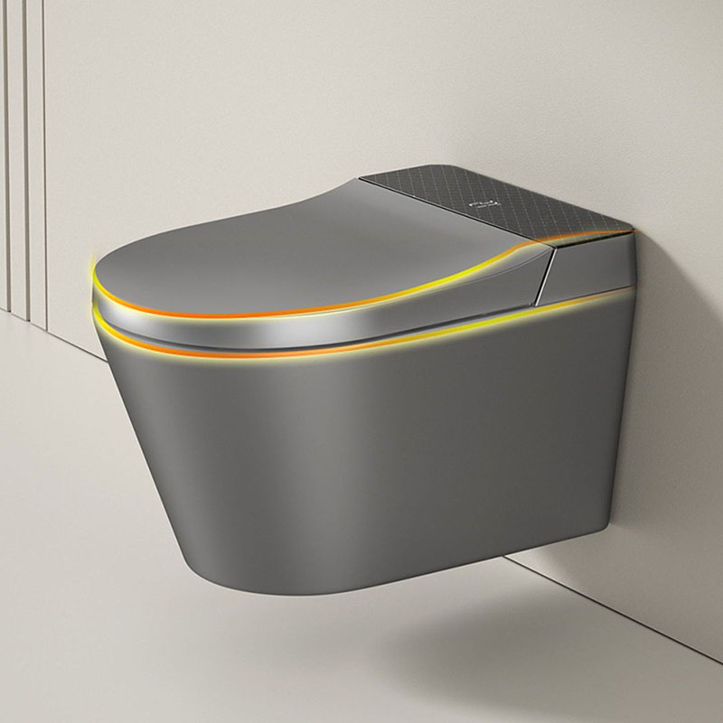 Grey Wall Hung Toilet | Dark Grey Toilet - Jabra Sanitary