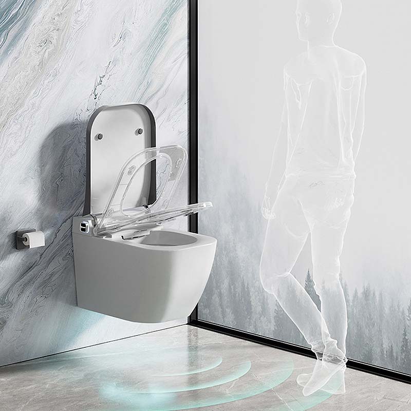 Hotel luxury Concealed Tank Wall Toilet - Jabra Sanitary