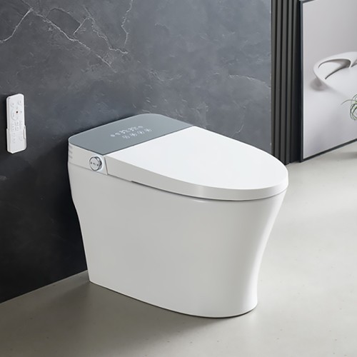 Smart One Piece Toilet - Jabra Sanitary
