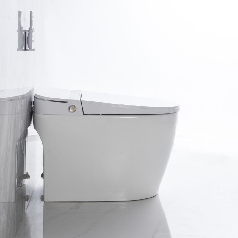 Smart One Piece Toilet - Jabra Sanitary