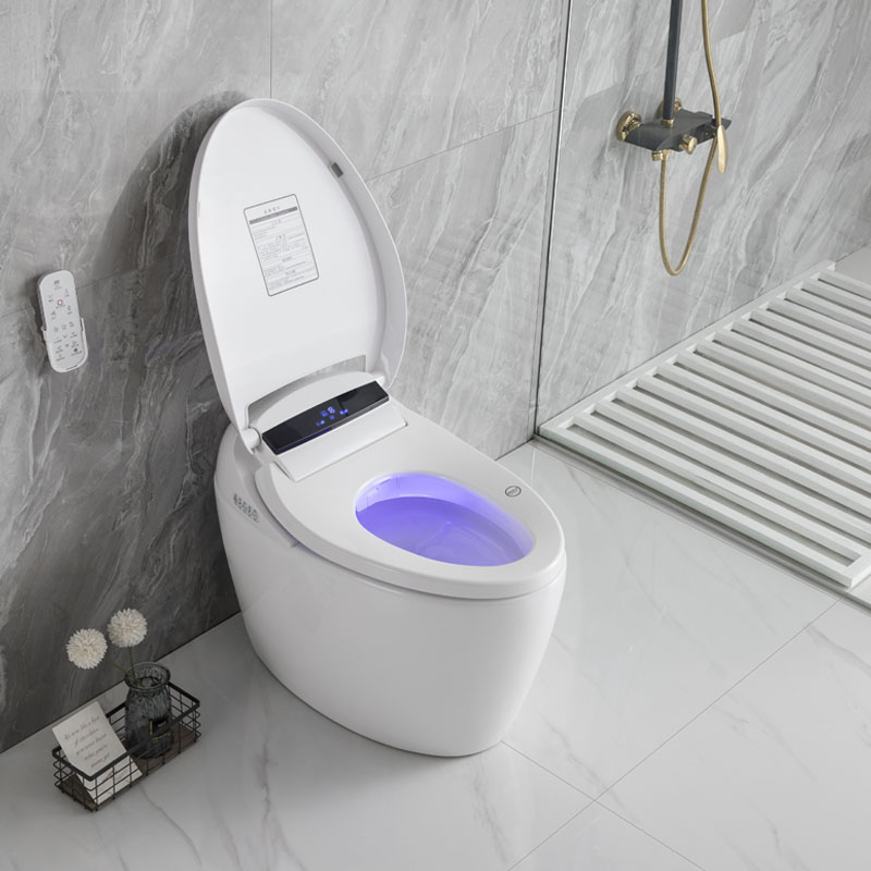 Compact Toilet | Space Saving Toilet Bowl - Jabra Sanitary