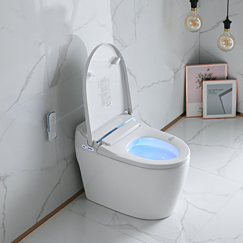 Bidet Toilet Australia| Australian Standard Toilet - Jabra Sanitary