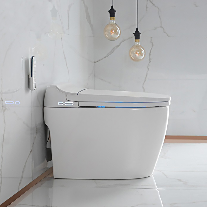 Bidet Toilet Australia| Australian Standard Toilet - Jabra Sanitary
