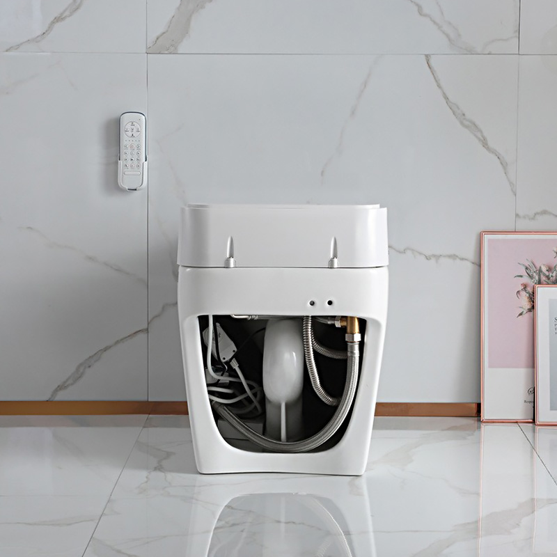 Bidet Toilet Australia| Australian Standard Toilet - Jabra Sanitary