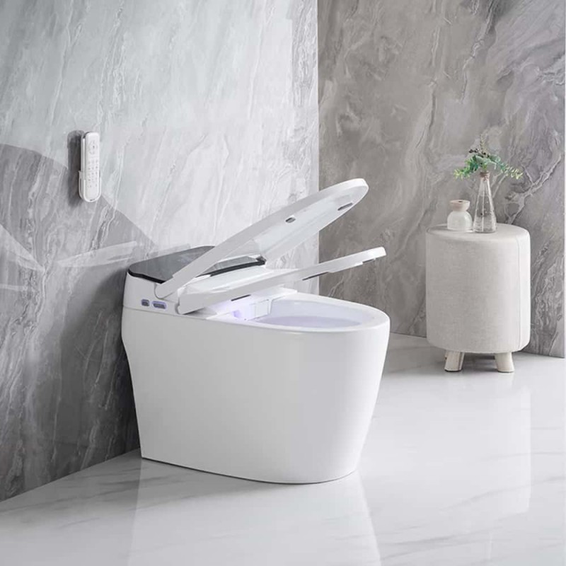 Modern Design Electric Smart Toilet - Jabra Sanitary