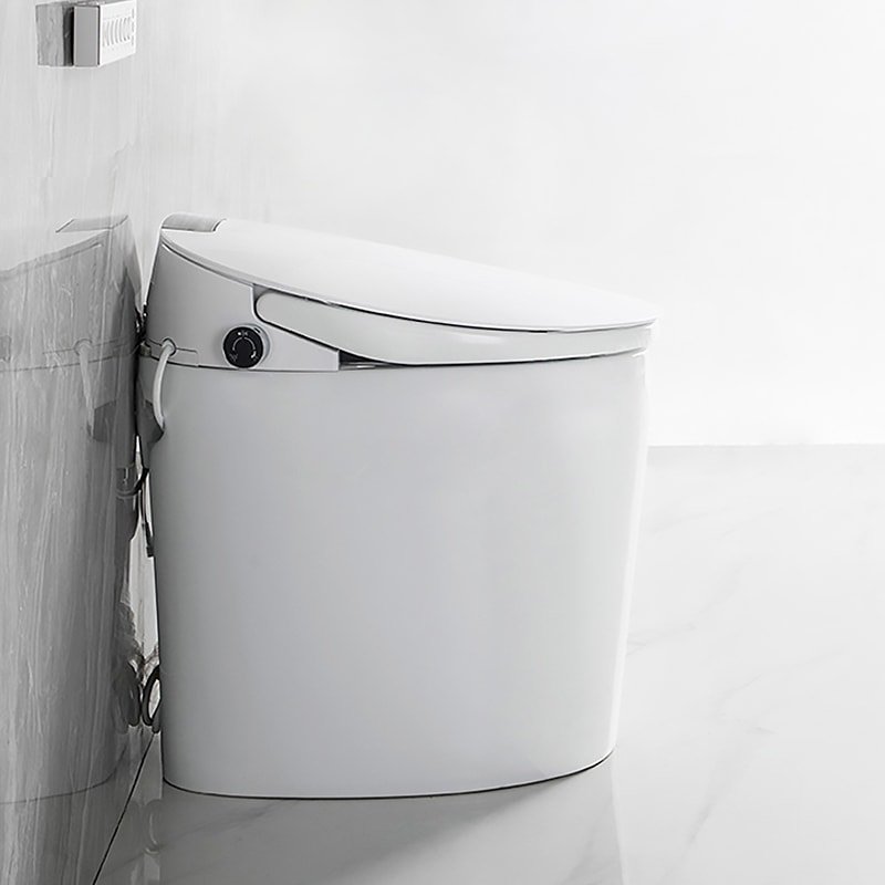 Free Standing Bidet Toilet | Floor Standing Toilet - Jabra Sanitary
