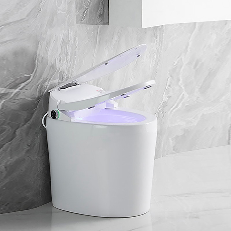 Free Standing Bidet Toilet | Floor Standing Toilet - Jabra Sanitary