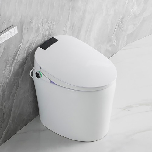 Back to Wall Toilet With Bidet - Jabra Sanitary