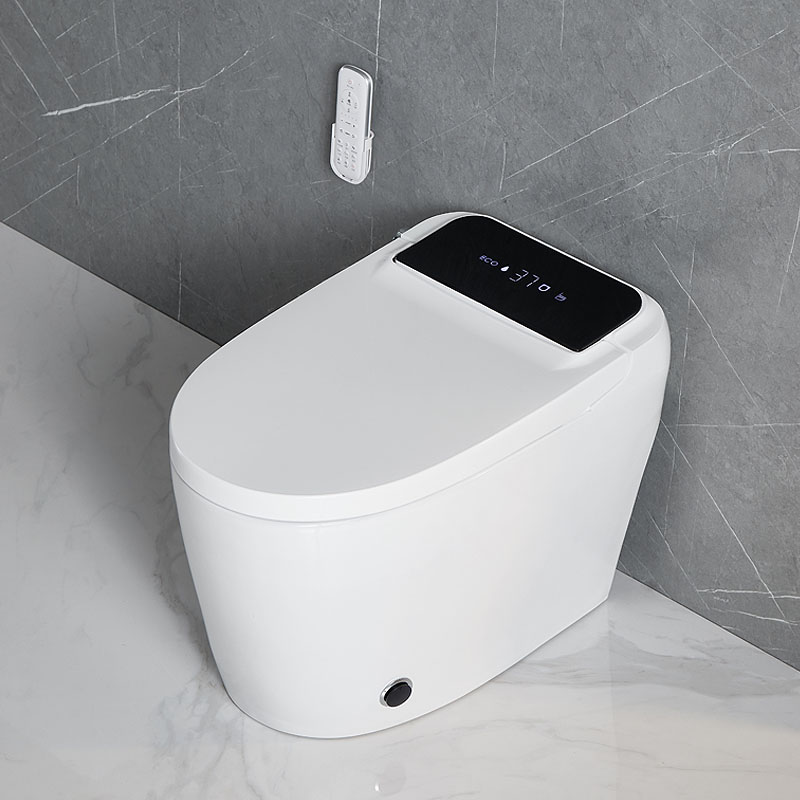 Technologically Advanced Japanese Bidet Toilet - Jabra Sanitary