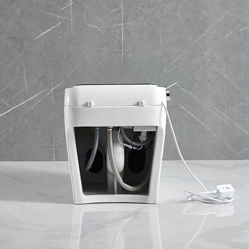 Technologically Advanced Japanese Bidet Toilet - Jabra Sanitary