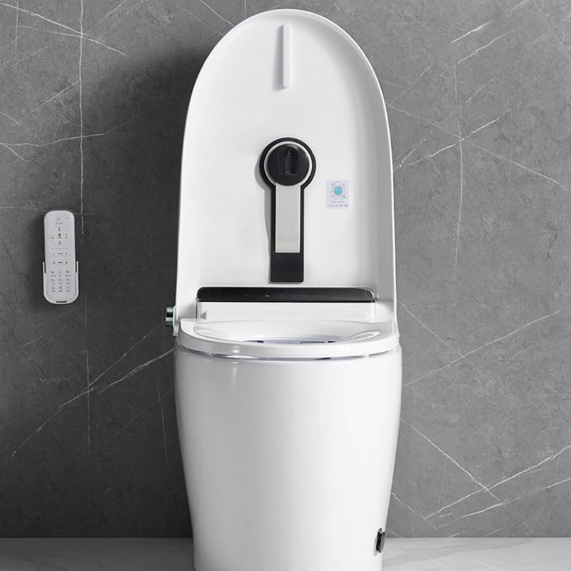 Technologically Advanced Japanese Bidet Toilet - Jabra Sanitary