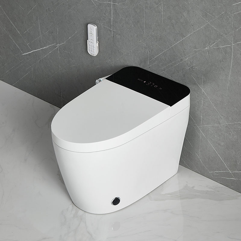 Smart Bidet Toilet Seat with Remote Control - Jabra Sanitary
