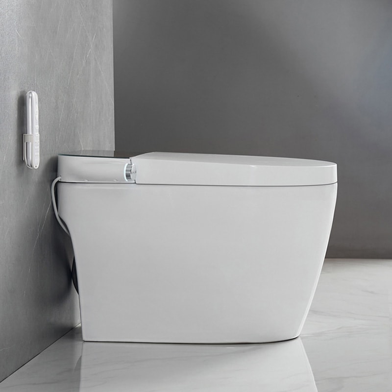 Smart Bidet Toilet Seat with Remote Control - Jabra Sanitary
