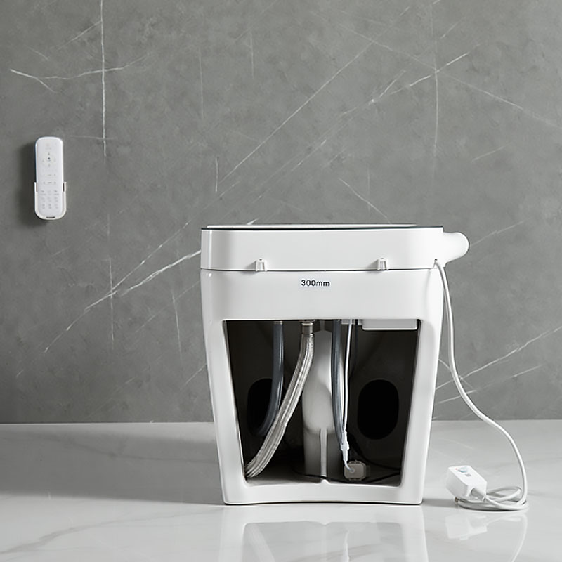 Smart Bidet Toilet Seat with Remote Control - Jabra Sanitary