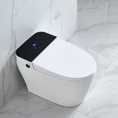 Smart Luxury Bidet Toilet Factory - Jabra Sanitary