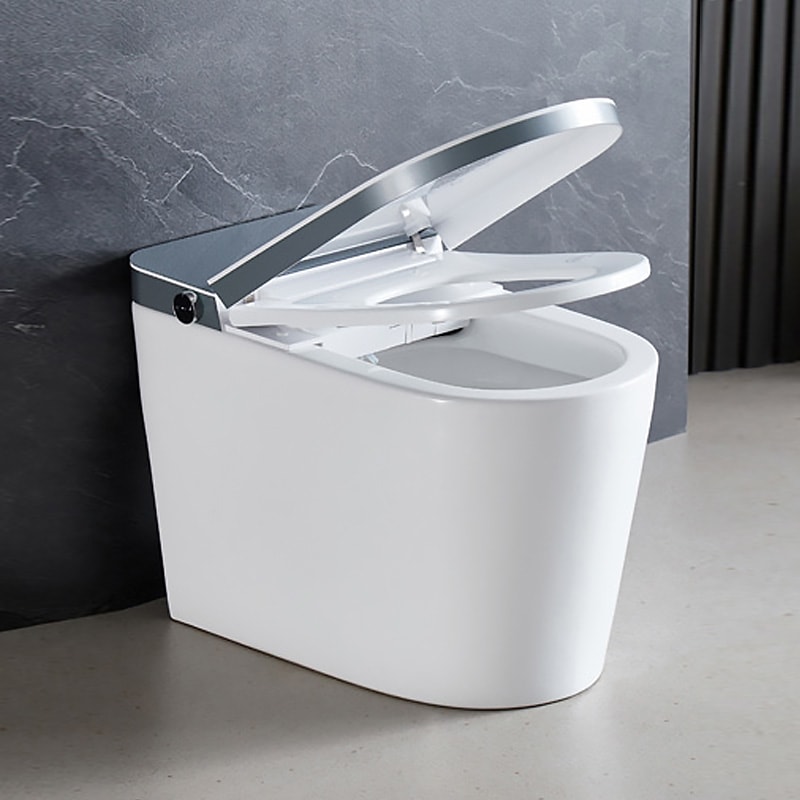 Automatic Flushing Toilet for Home | Top Toilet Manufacturer - Jabra ...