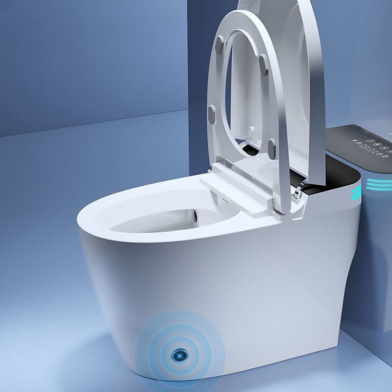 Chair High Toilet | Chair Height Bidet Toilet - Jabra Sanitary