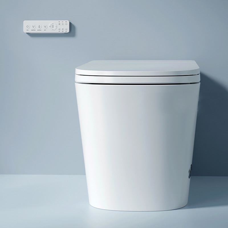 Japanese Style Toilet Bowl | Intelligent Toilet Bowl - Jabra Sanitary