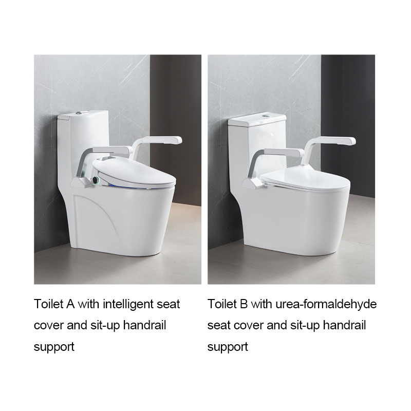 ADA Grab Bar Toilet for Elderly - Jabra Sanitary
